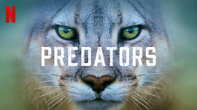 Is 'Predators' on Netflix in Canada? Where to Watch the Documentary ...